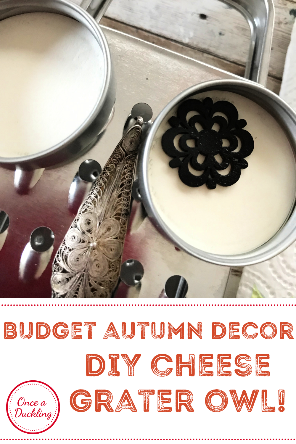 Cute little cheese grater owl! - Once a Duckling