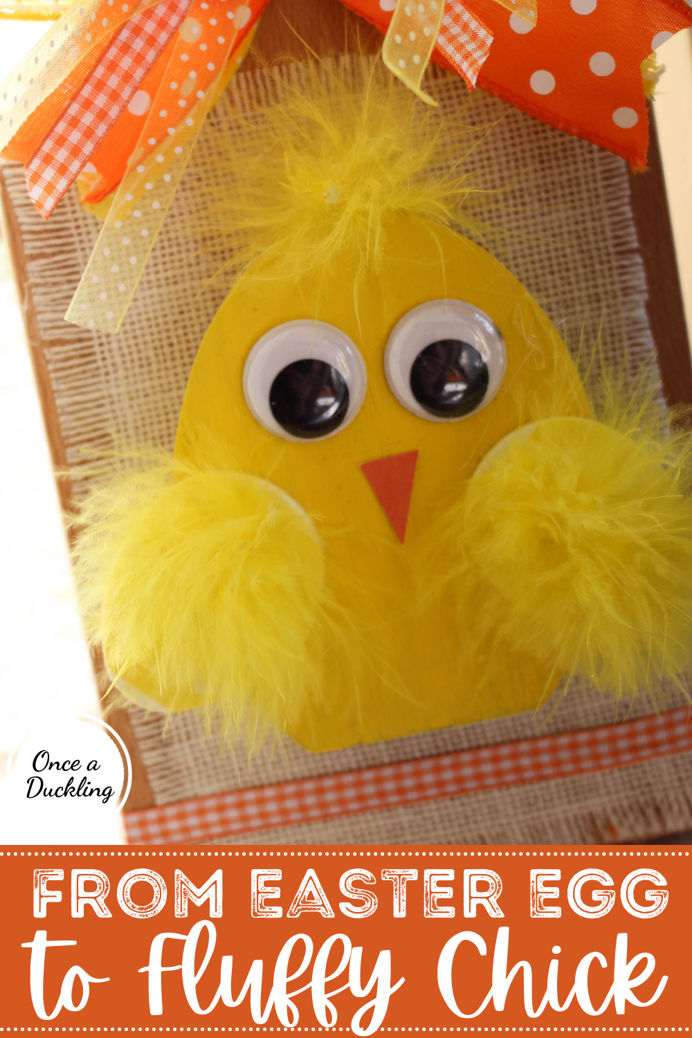 From Easter Egg to Fuzzy Duck - Once a Duckling