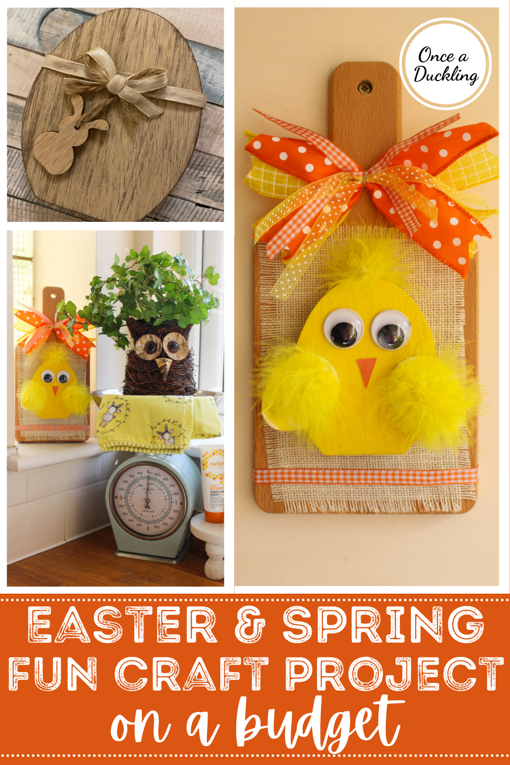 From Easter Egg to Fuzzy Duck - Once a Duckling